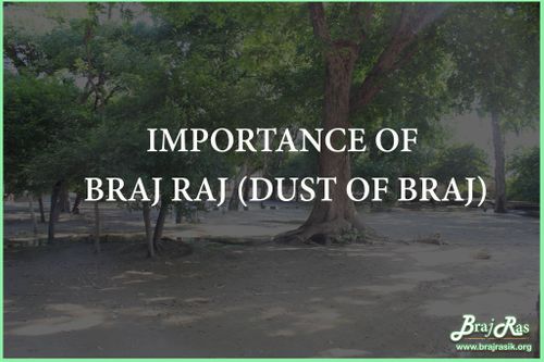 Importance of Braj Raj (Dust of Braj Vrindavan) - Saint Shri Jagannath Das