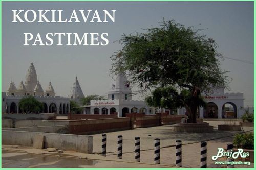 Kokilavan, Braj - Divine Pastimes