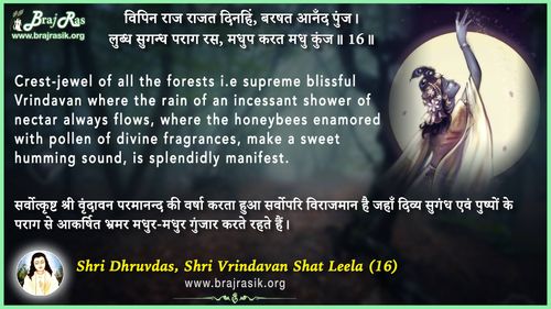 Vipin Raj Rajat Dinhin, Varshat Anand Punj - Shri Dhruvdas, Vrindavan ...