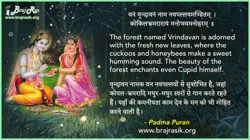 Vanam Vrindavanam Naam Navapallavamanditam - Padma Puran