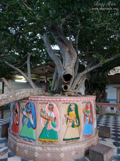 This is the Banyan tree under which Shri Krishna plays his flute during ...
