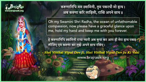 Karunanidhi Mam Swamini - Shri Vitthal Vipul Dev Ji, Shri Vitthal Vipul ...