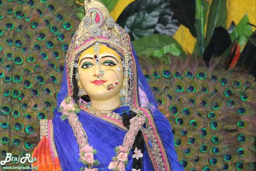 Glimpses of Shri Shyama (Radha) at Shyama Shyam Dham, Vrindavan.