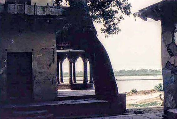 1986 Shringar Vat old Vrindavan