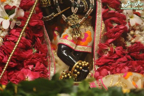 Charan Darshan of Shri Radharaman Ji.