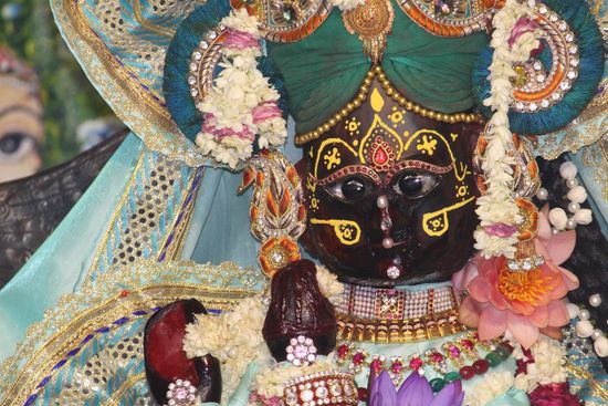 Divine eyes of Shri Radhavallabh Lal