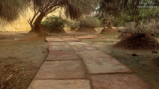 A very close view of parikrama marg in Nidhivan