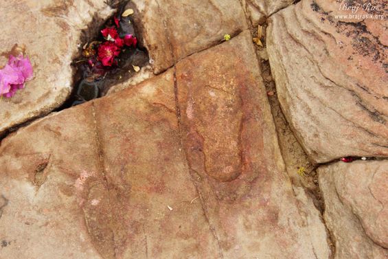 Darshan of Shri Krishna's foot print on Giriraj Shila at Giriraj ...