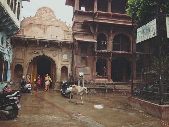 View of new Radhavallabh Temple on left and Old Radha Vallabh Temple in ...