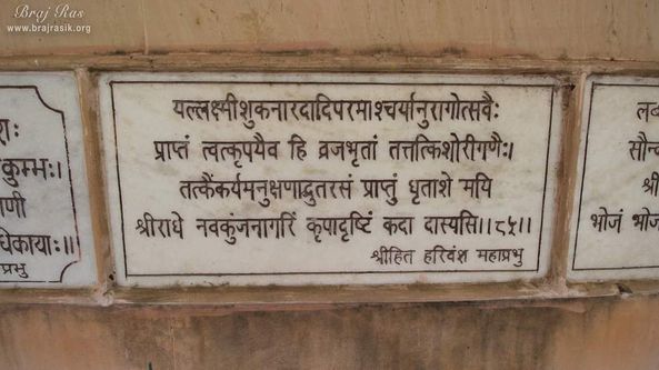 Verses of Shri Radha Sudha Nidhi written on the wall of Seva Kunj ...