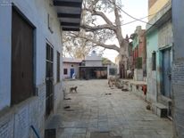 Closeup darshan of Shri Yugal Kishor at Shri Yugal Kishor Temple, Vrindavan