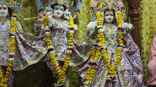 Close darshan of Shri Radha Vinod Bihari Ji at Shri Roop Sanatan ...