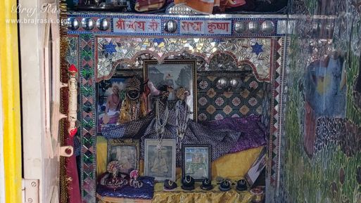 A close darshan of Shri Nath Ji and Shri Radha Krishna at Aadi ...