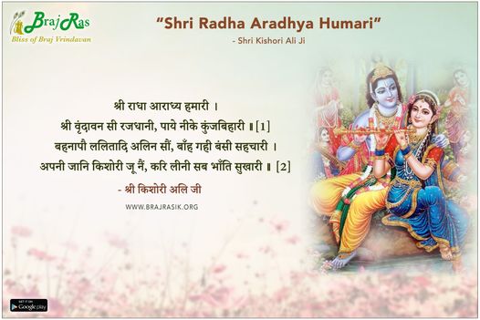 Shri Radha Aradhya Humari - Shri Kishori Ali Ji