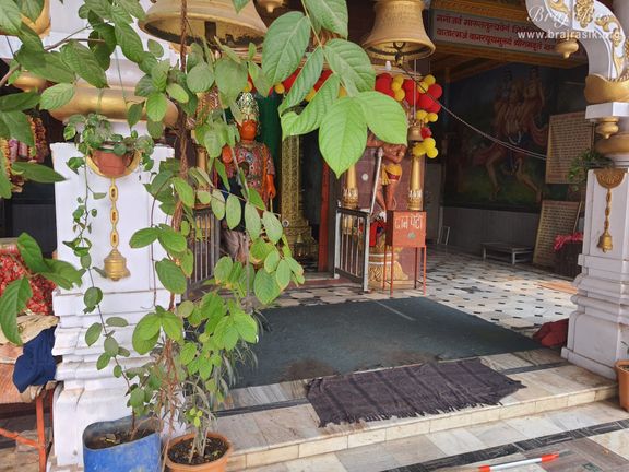 Beautiful darshan of Shri Hanuman Ji at Hanuman Garhi Temple, Vrindavan.