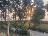 A beautiful darshan of the ancient Vat Vriksh (tree) of Bhandirvan ...