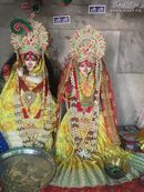 A beautiful darshan of the ancient Vat Vriksh (tree) of Bhandirvan ...