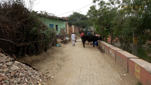View of parikrama path of Bahulavan Kund.