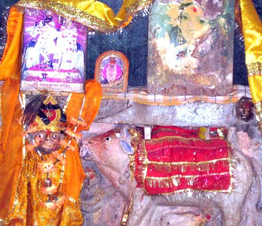 Darshan of Bahula Bihari Ji along with Bahula cow at Bahulavan Kund.