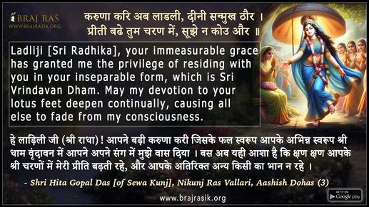 Karuna Kari Ab Ladali Deeni Sanmukh Thaur - Shri Hita Gopal Das, Nikunj ...