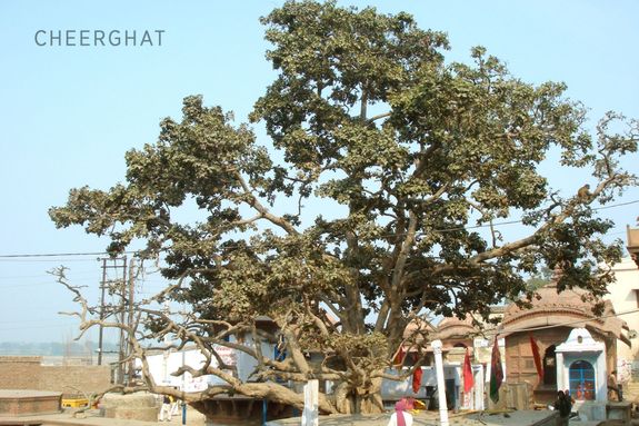 Chir Ghat or Cheer Ghat, Vrindavan