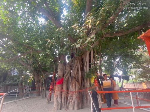 Vanshivat & Bhajan Kutirs of saints, Bhandirvan