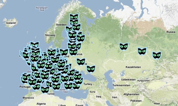 An interactive cat map for at-home felines | Marketing Interactive