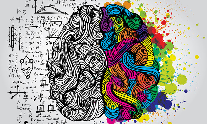 Which part of the human brain does your brand stimulate? | Marketing ...