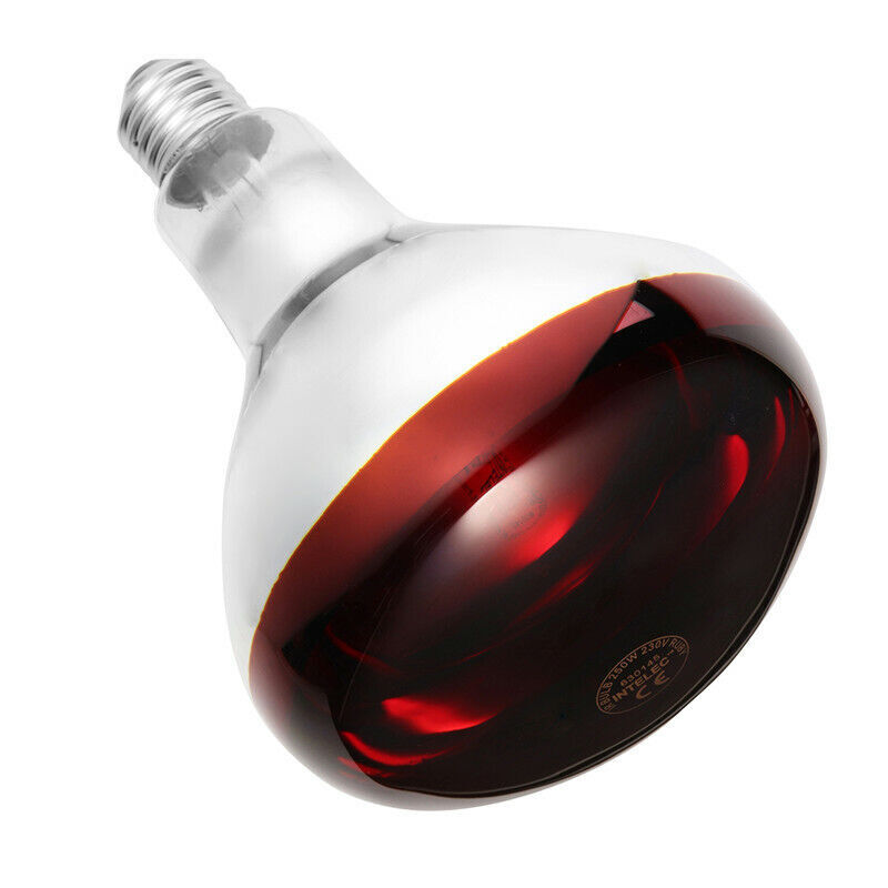Buy Philips Infrared Lamp BULB-230W Online at Best Price In Bangladesh ...
