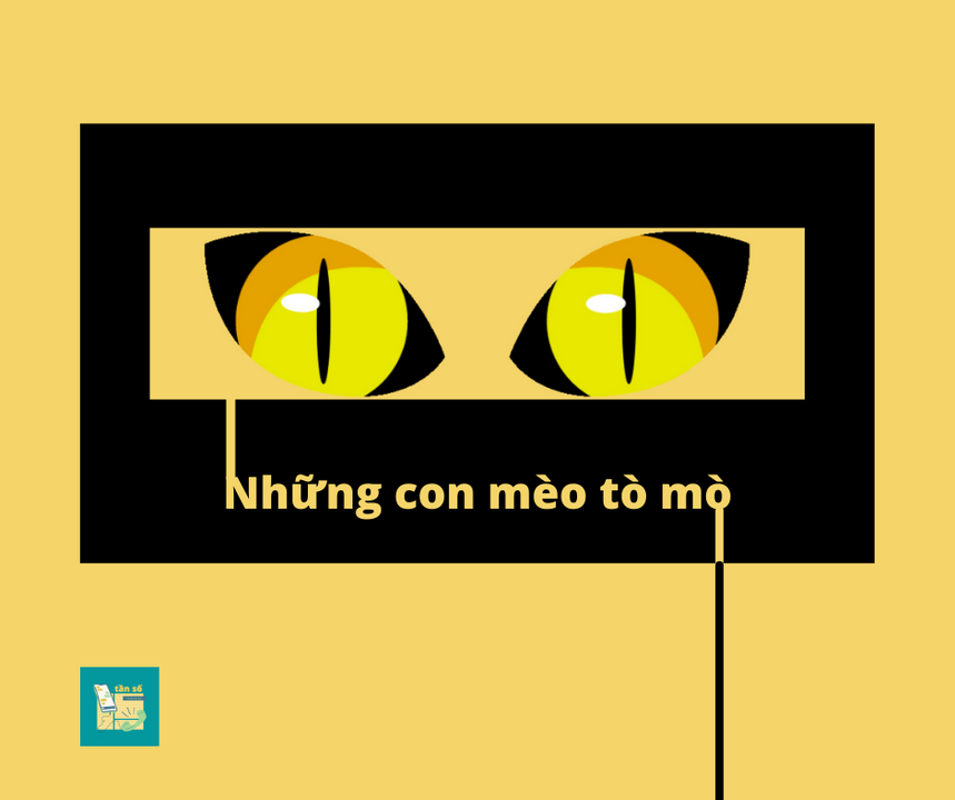 TÒ MÒ HẠI CHẾT CON MÈO
