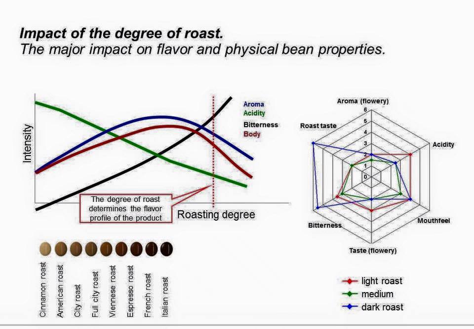 Basic Coffee Knowledge: Coffee Basics for Beginners - Helena Coffee Vietnam
