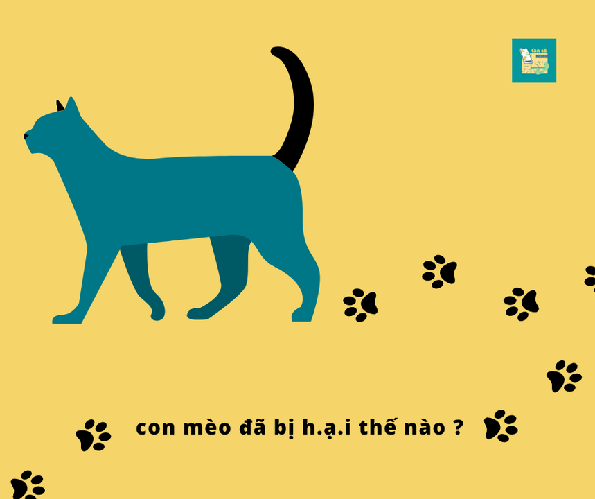 TÒ MÒ HẠI CHẾT CON MÈO