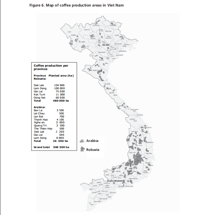 Basic Coffee Knowledge: Coffee Basics for Beginners - Helena Coffee Vietnam