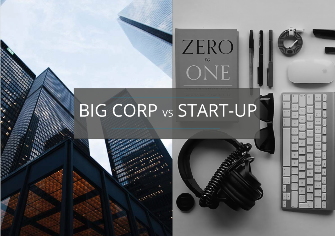 Big Corp vs Start-up, đâu là môi trường dành cho bạn?