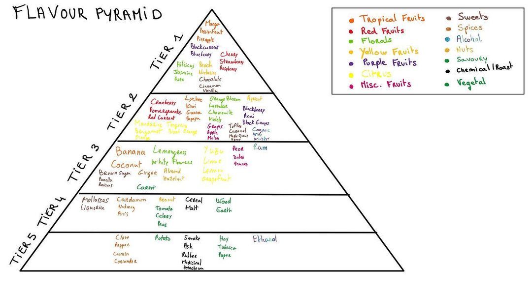 Basic Coffee Knowledge: Coffee Basics for Beginners - Helena Coffee Vietnam