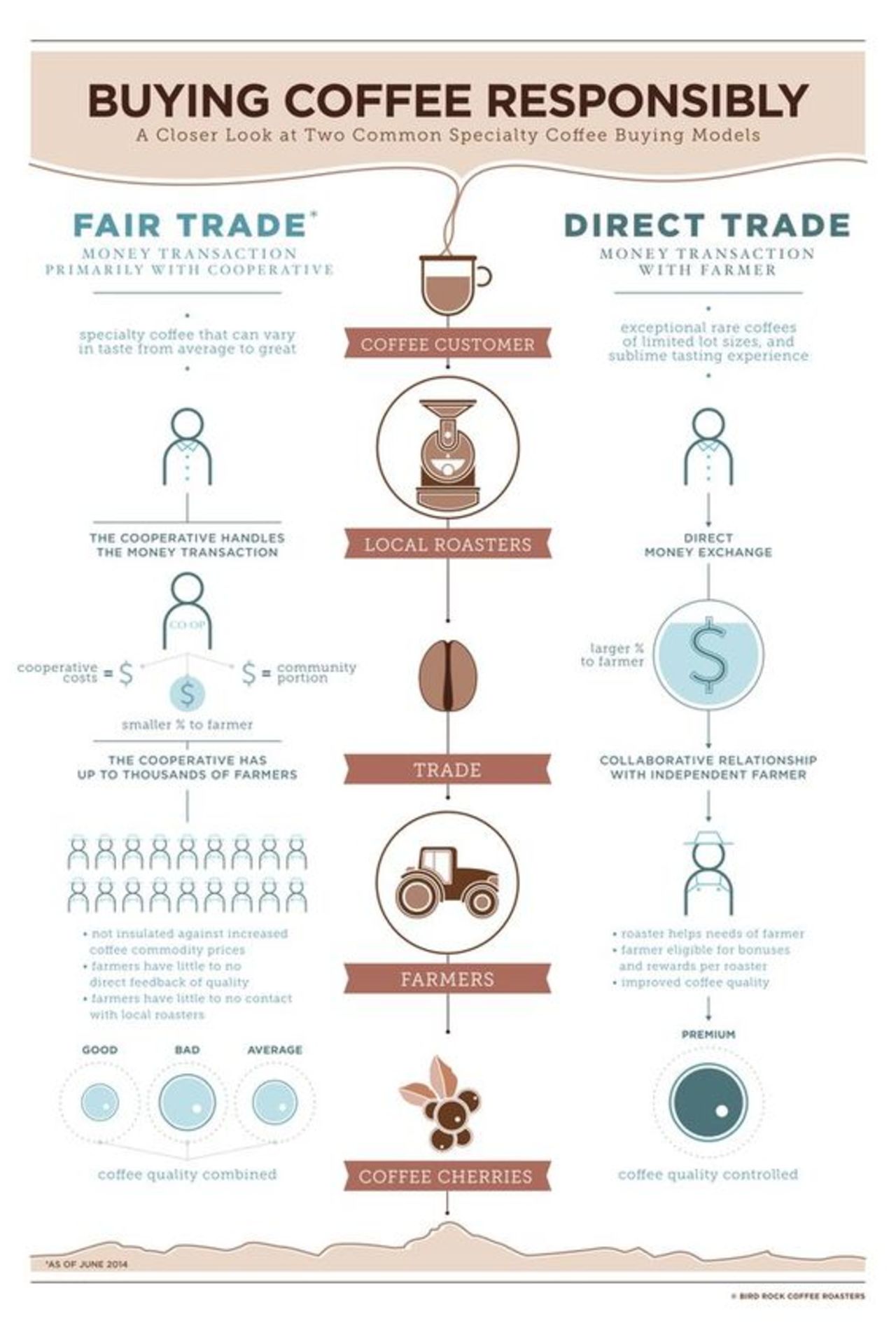 Basic Coffee Knowledge: Coffee Basics for Beginners - Helena Coffee Vietnam