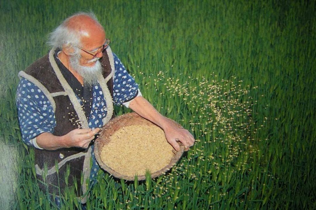 Masanobu Fukuoka - lão nông Nhật Bản với triết lý nông nghiệp thuận tự ...