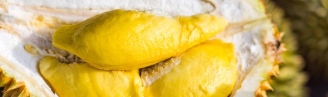 Nghĩ gì về FWB, ONS?