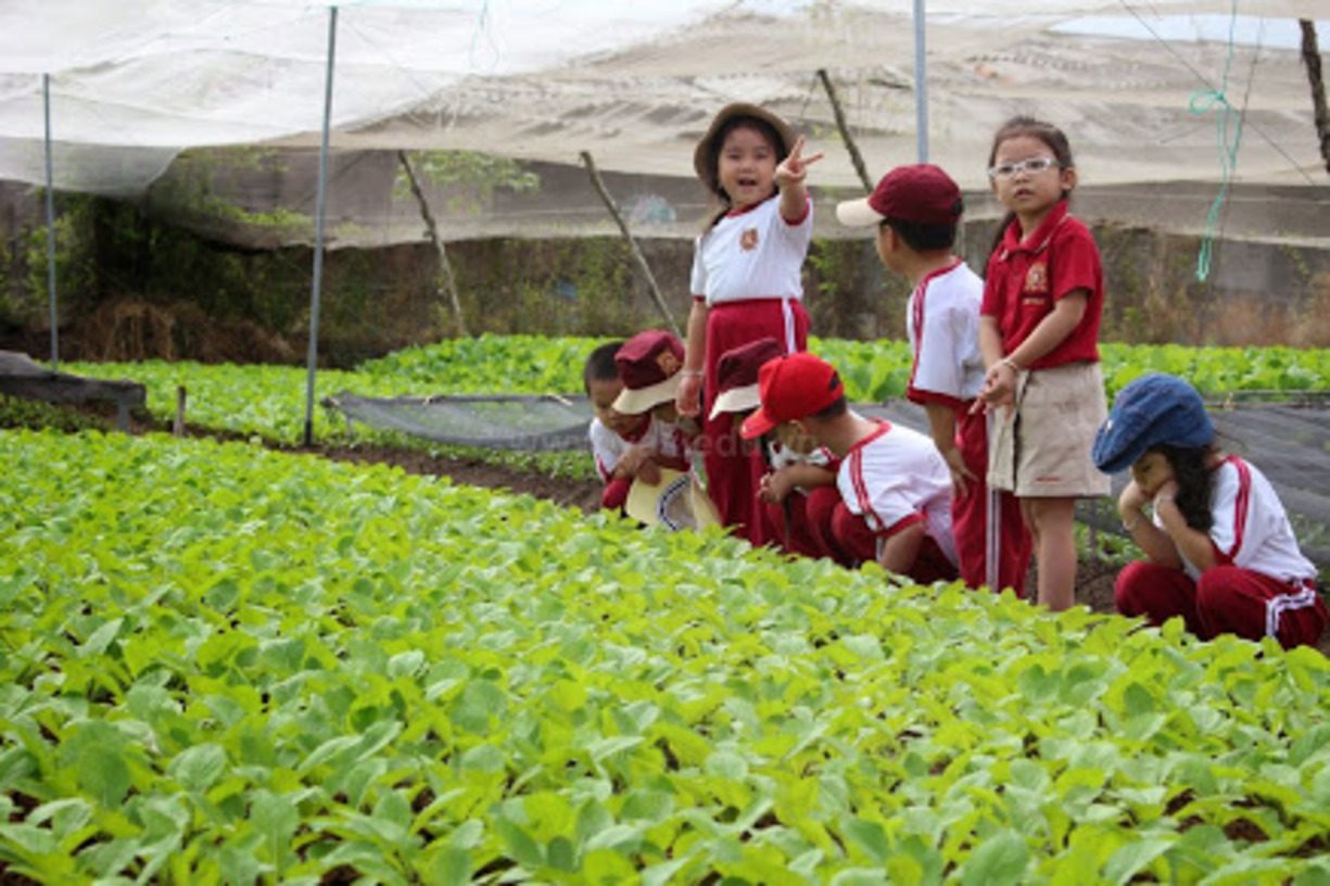 News & Events - Vietnam Australia International School - VAS