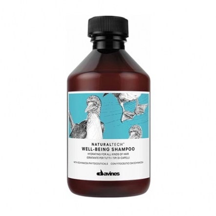 Davines Natural Tech Wellbeing Shampoo for All Hair Types and Sensitive ...