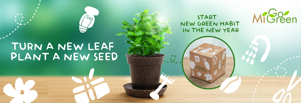 Mira Place | 尖沙咀 地標商場 | 香港