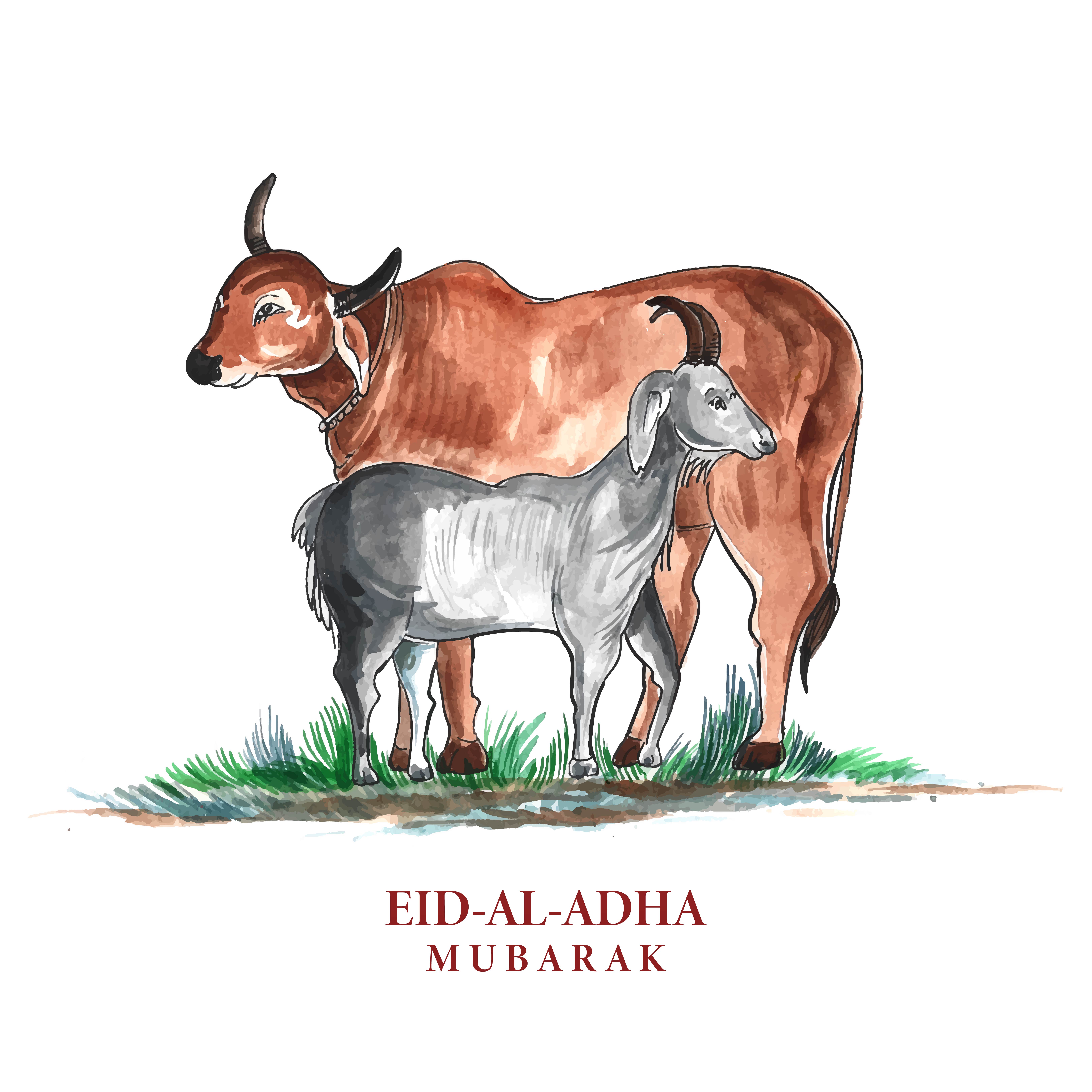 5 Fakta Hari Raya Aidiladha - Jobstore Careers Blog - Malaysia's best ...