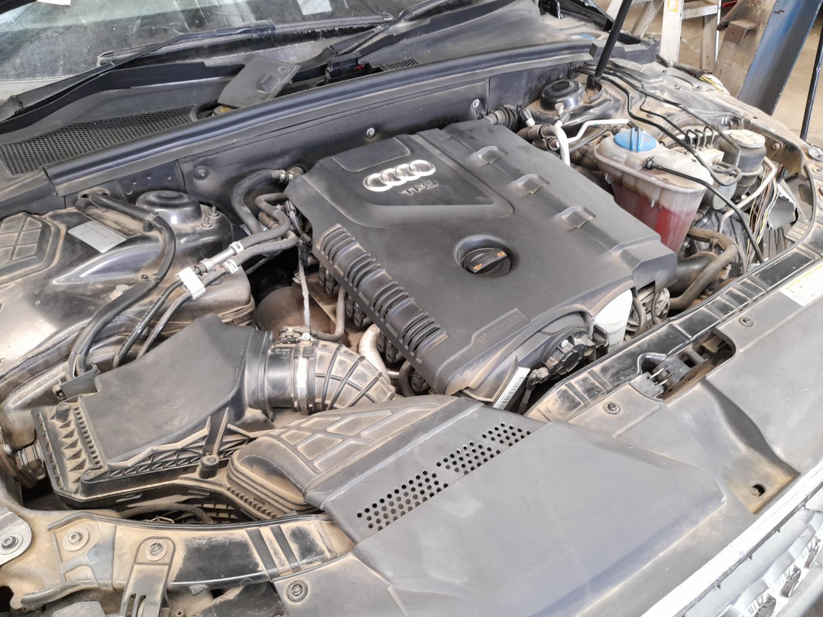 Right Rear Strut A5 Audi 2010