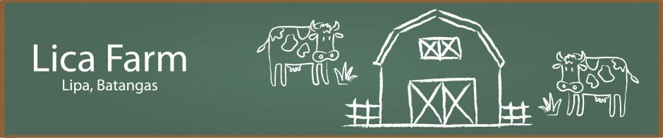 LICA Group of Companies Careers, Job Opening & Hirings | Kalibrr