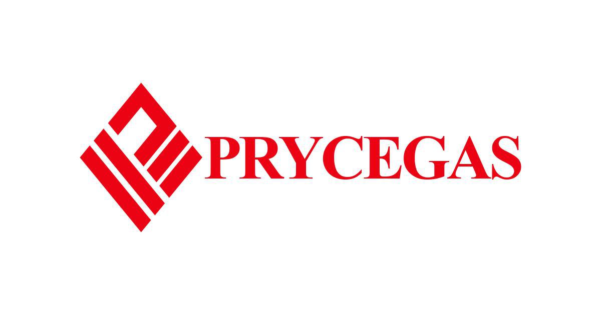 Pryce Gas Logo Guizhou Fuding Rubber And Plastic Co. Crunchbase