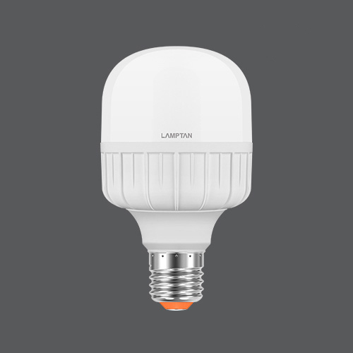 Led high watt t bulb bright web