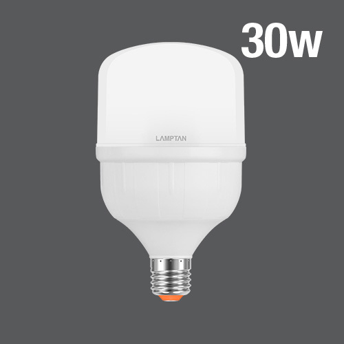 Led high watt t bulb gloss 30w web 02