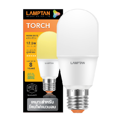 Led torch web 13