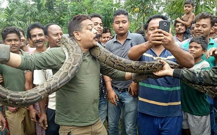 Insolite : il pose avec un python et échappe de justesse à l ...