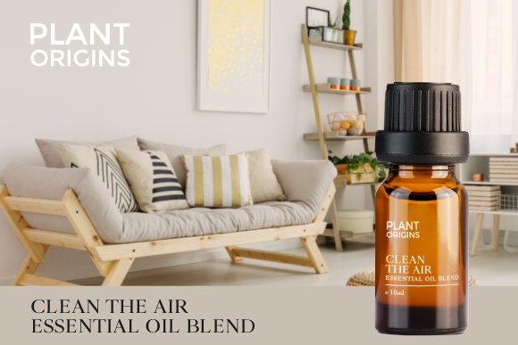 Healthy Snacks Malaysia - Plant Origins Clean The Air Essential Oil Blend